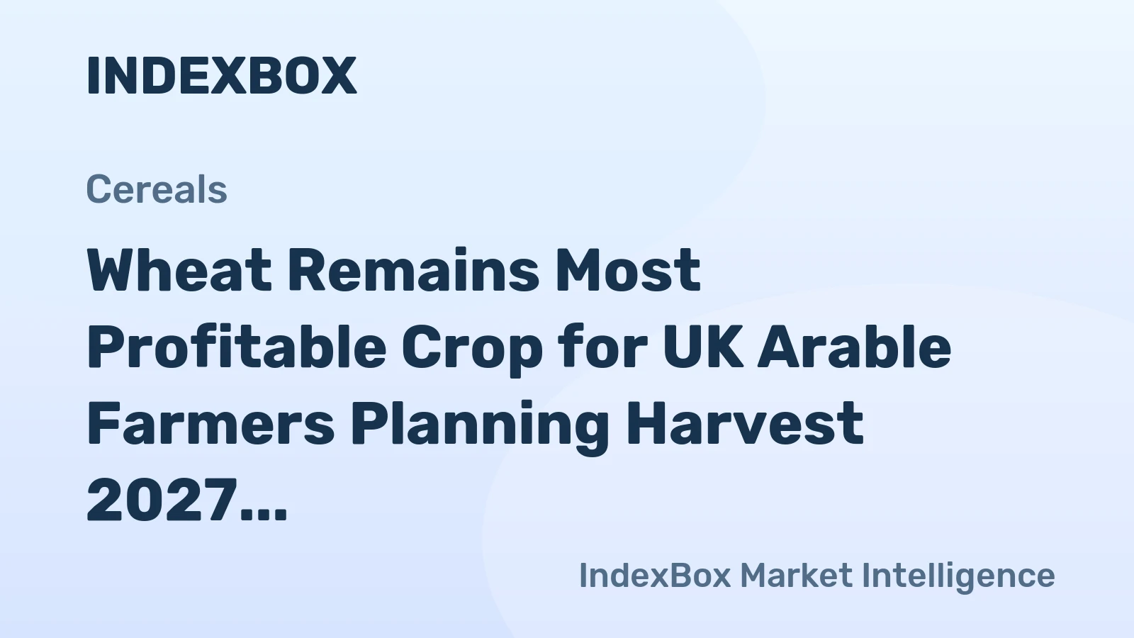 Wheat Remains Most Profitable Crop for UK Arable Farmers Planning Harvest 2027, AHDB Analysis Shows