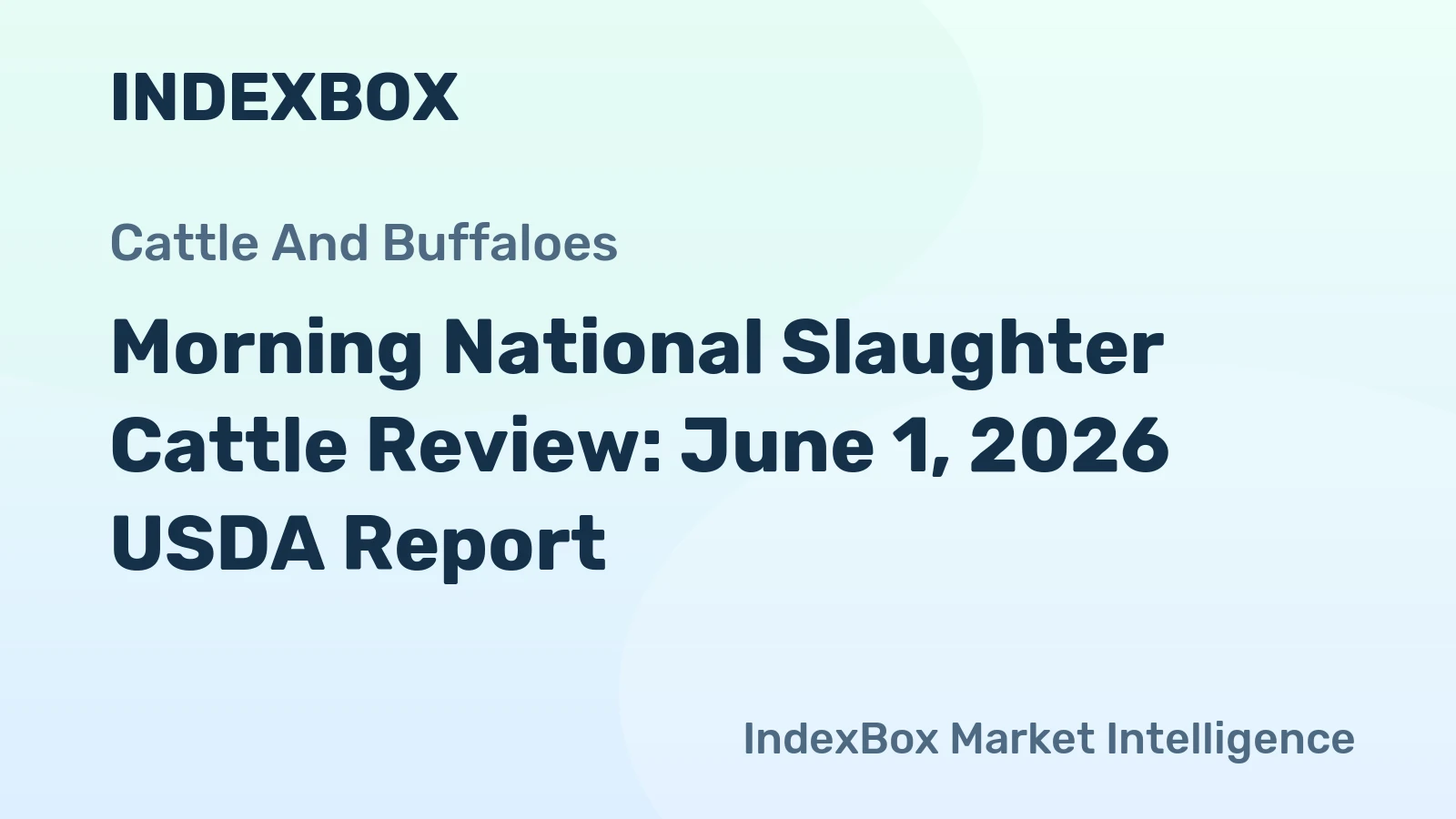 Morning National Slaughter Cattle Review: June 1, 2026 USDA Report