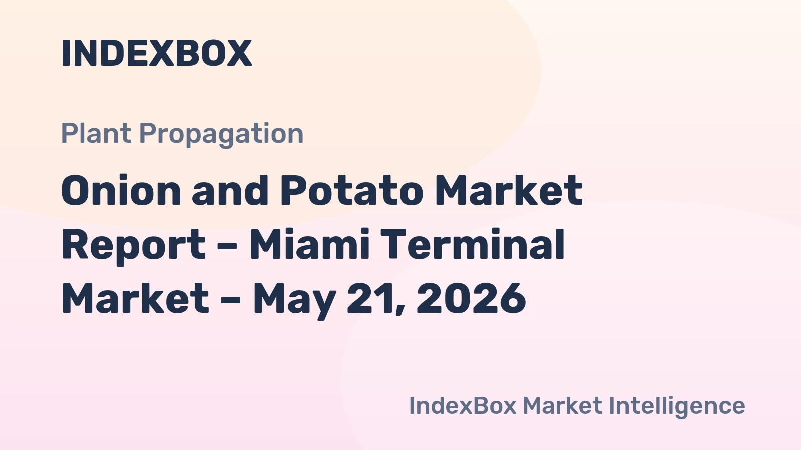 Onion and Potato Market Report – Miami Terminal Market – May 21, 2026