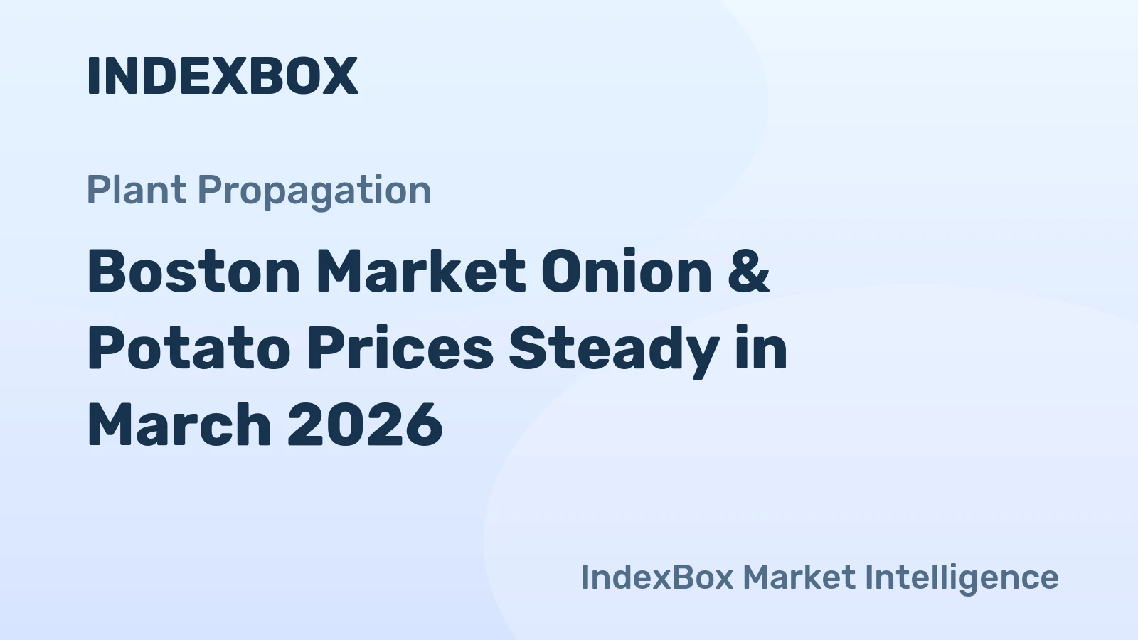 Boston Market Onion & Potato Prices Steady in March 2026