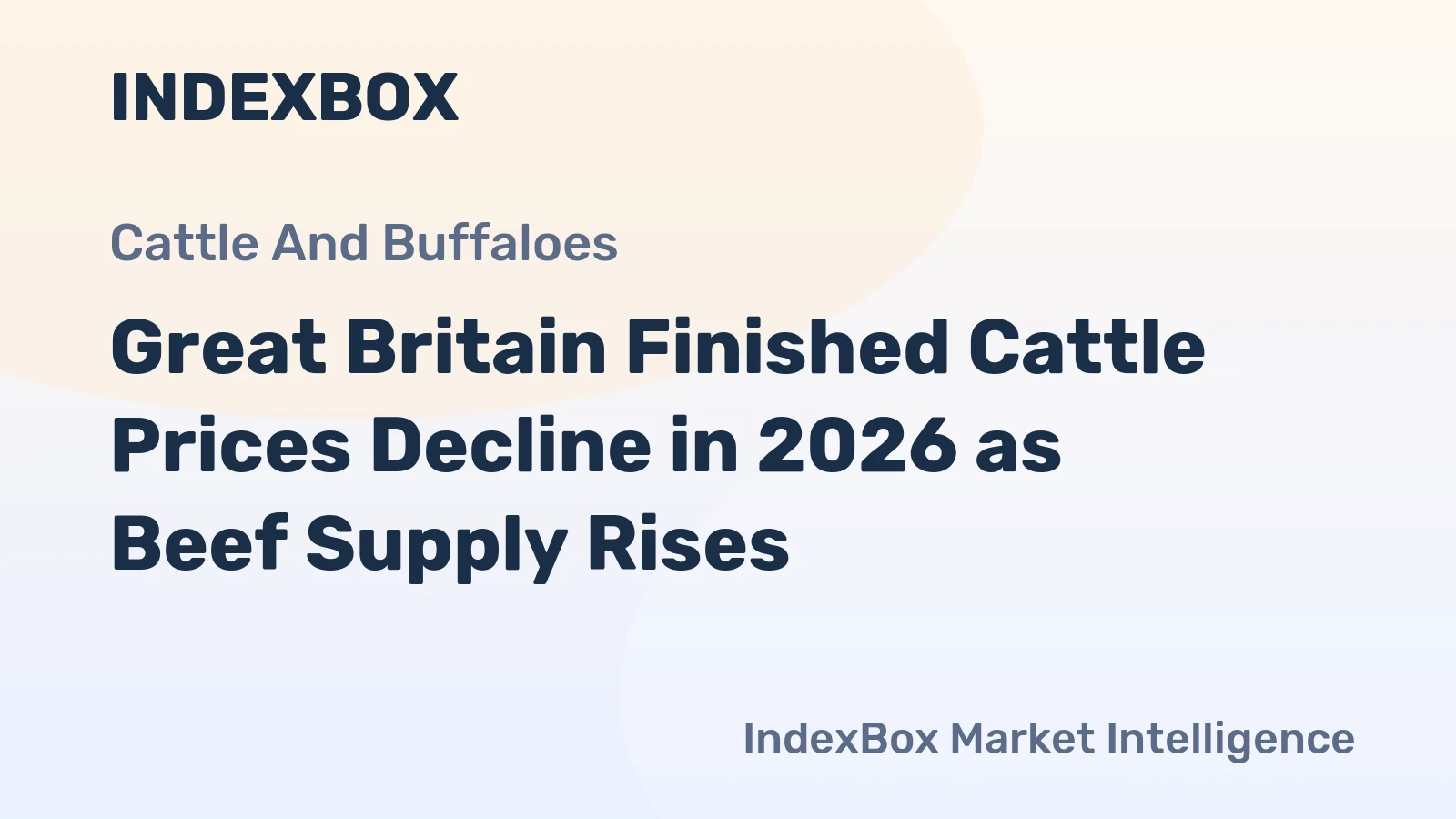 Great Britain Finished Cattle Prices Decline in 2026 as Beef Supply Rises
