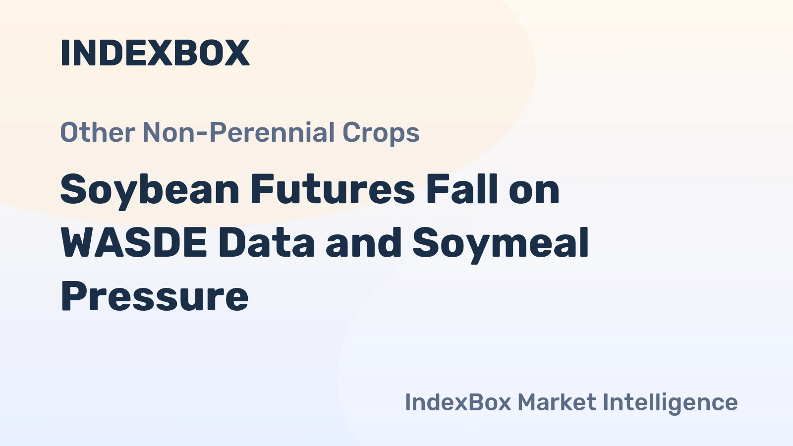 Soybean Futures Fall on WASDE Data and Soymeal Pressure