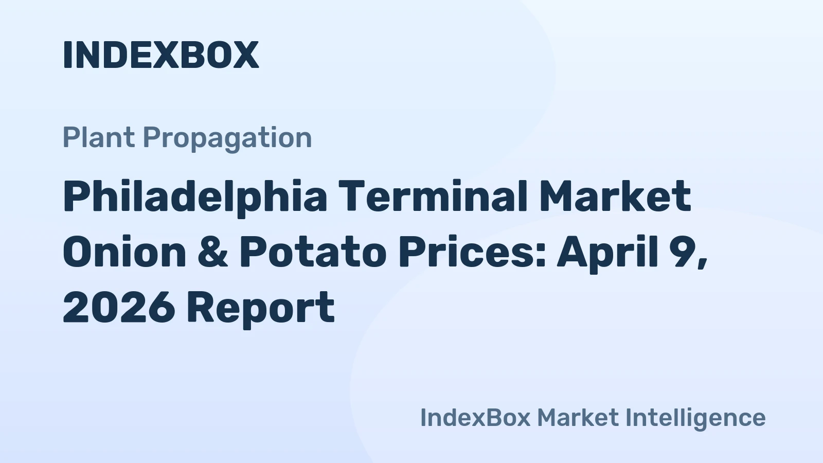 Philadelphia Terminal Market Onion & Potato Prices: April 9, 2026 Report
