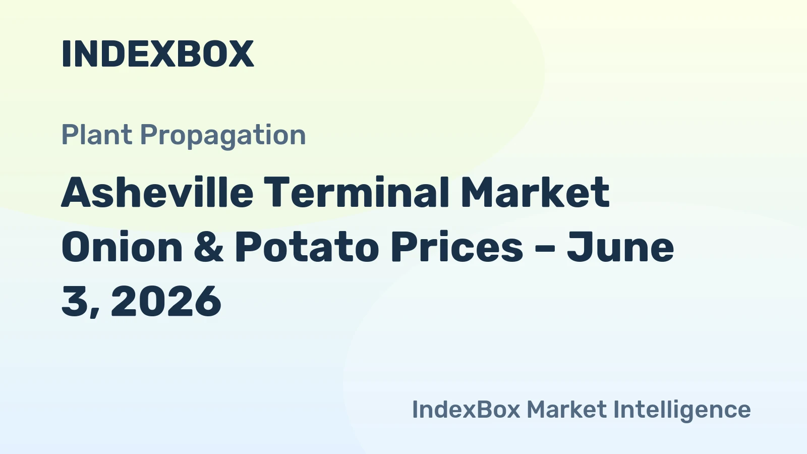 Asheville Terminal Market Onion & Potato Prices – June 3, 2026