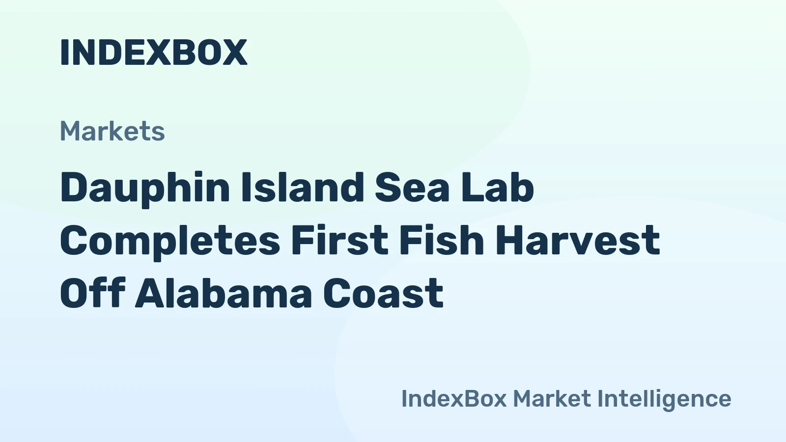 Dauphin Island Sea Lab Completes First Fish Harvest Off Alabama Coast