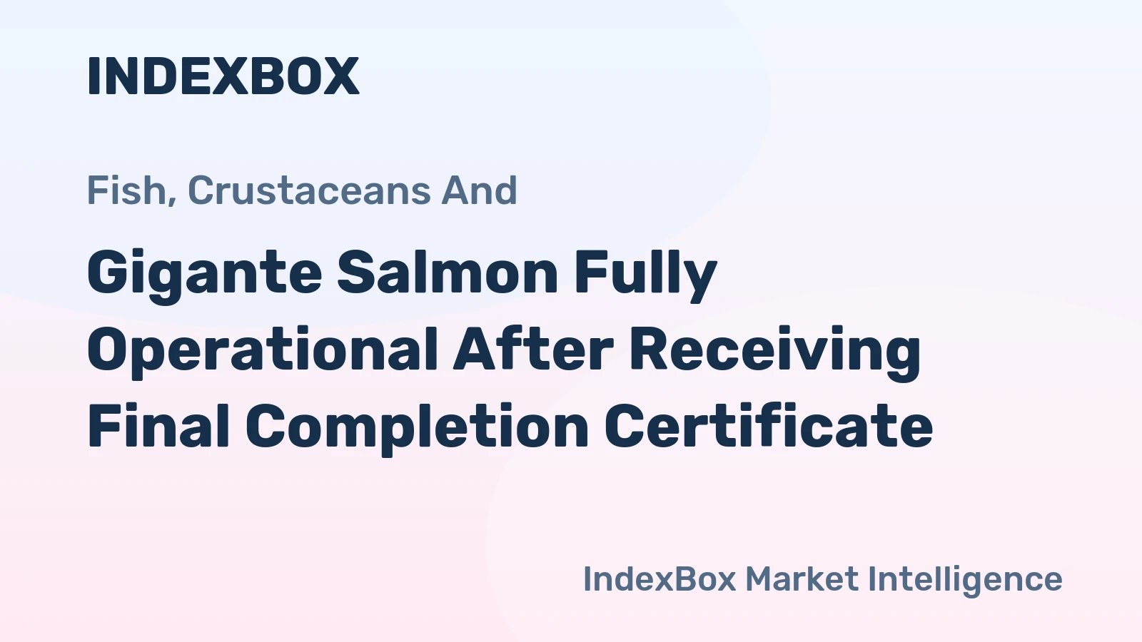 Gigante Salmon Fully Operational After Receiving Final Completion Certificate