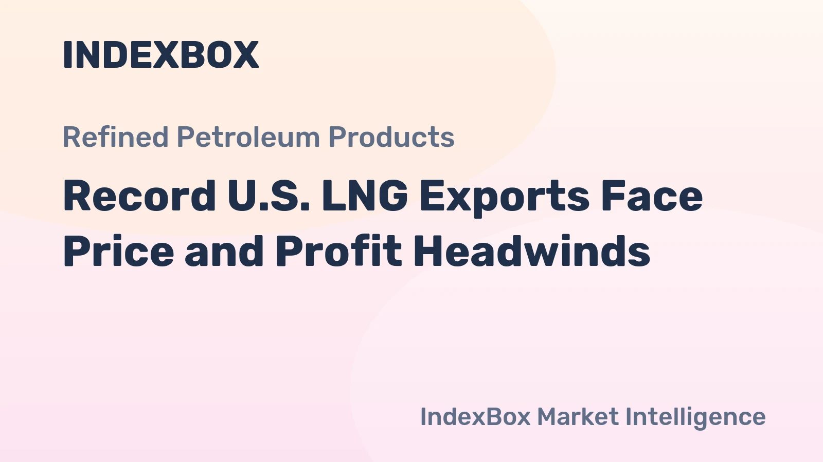 Record U.S. LNG Exports Face Price and Profit Headwinds