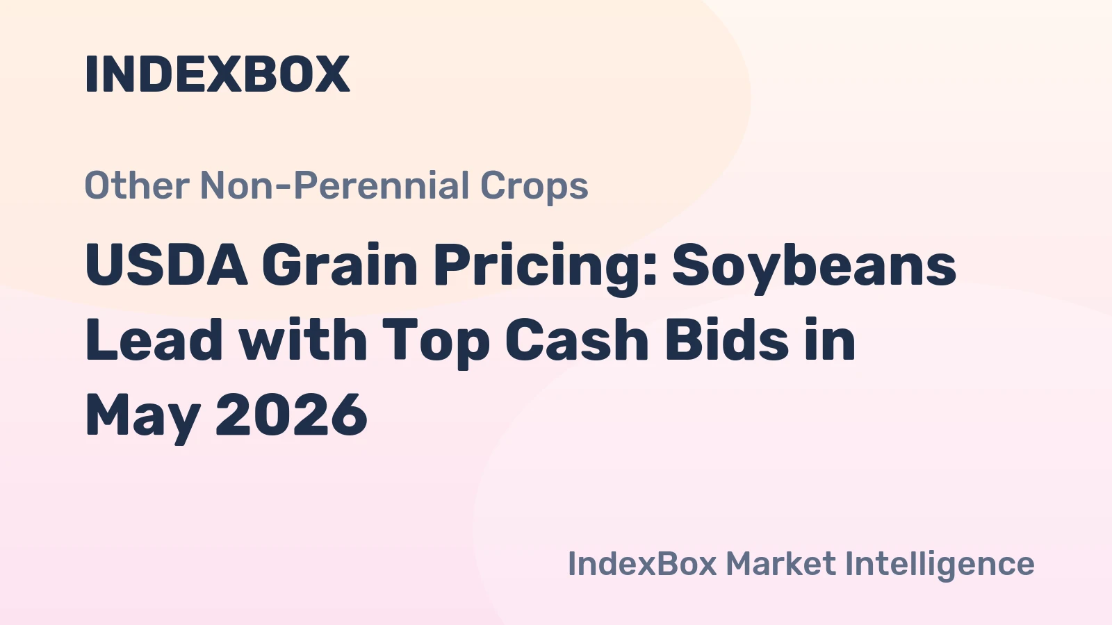 USDA Grain Pricing: Soybeans Lead with Top Cash Bids in May 2026