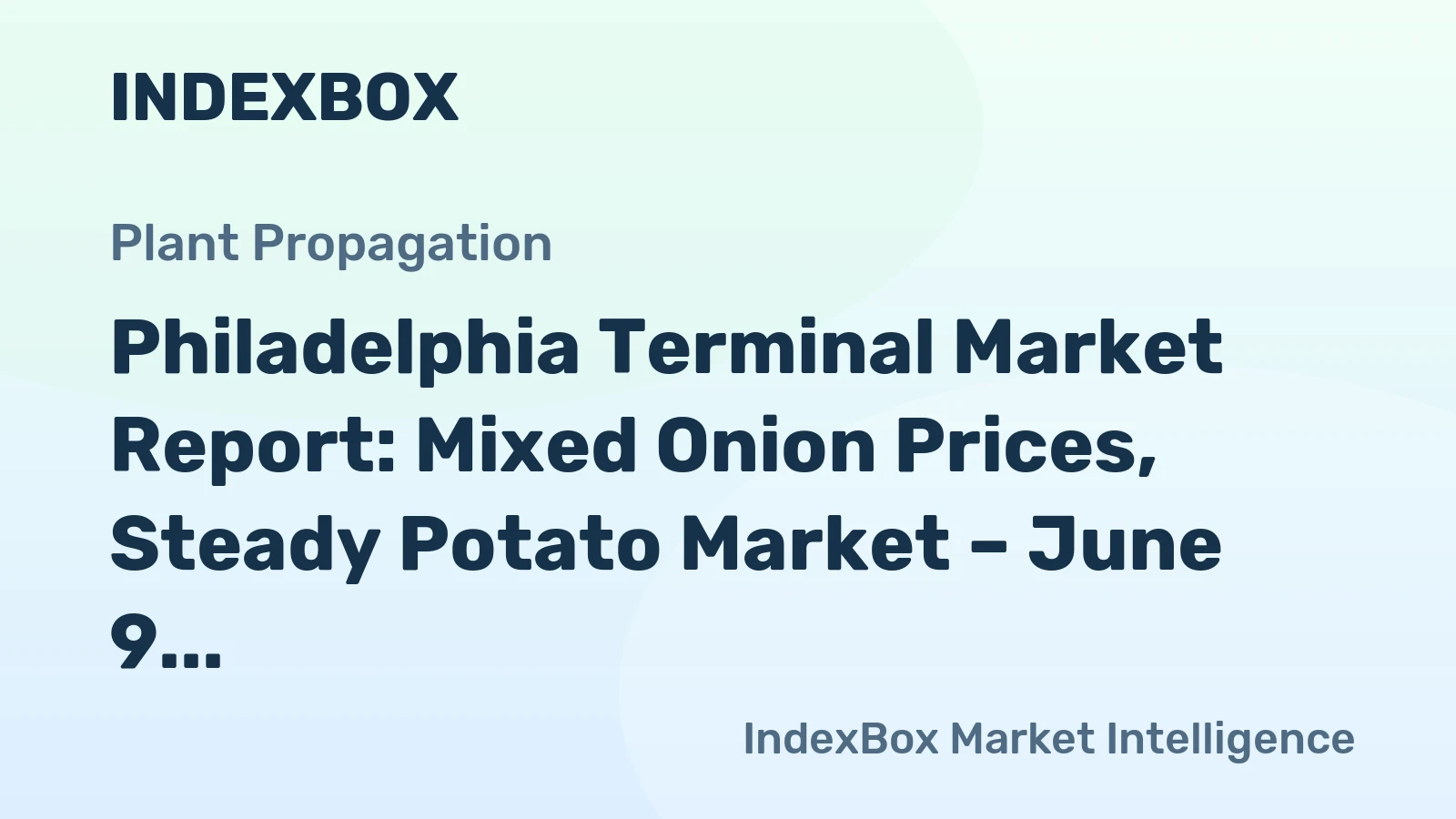 Philadelphia Terminal Market Report: Mixed Onion Prices, Steady Potato Market – June 9, 2026