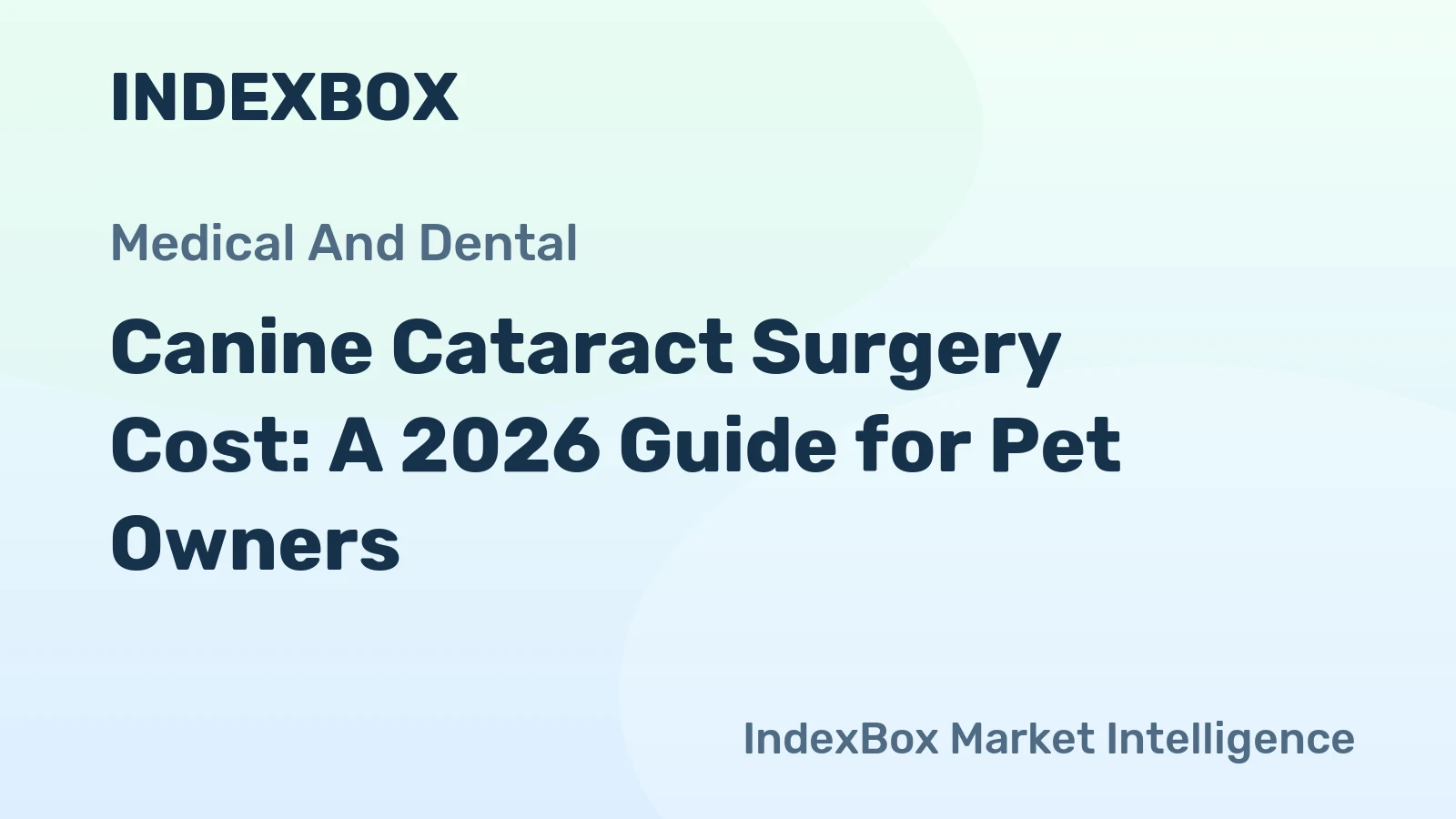 Canine Cataract Surgery Cost: A 2026 Guide for Pet Owners