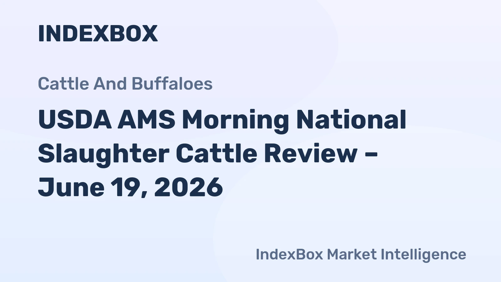 USDA AMS Morning National Slaughter Cattle Review – June 19, 2026