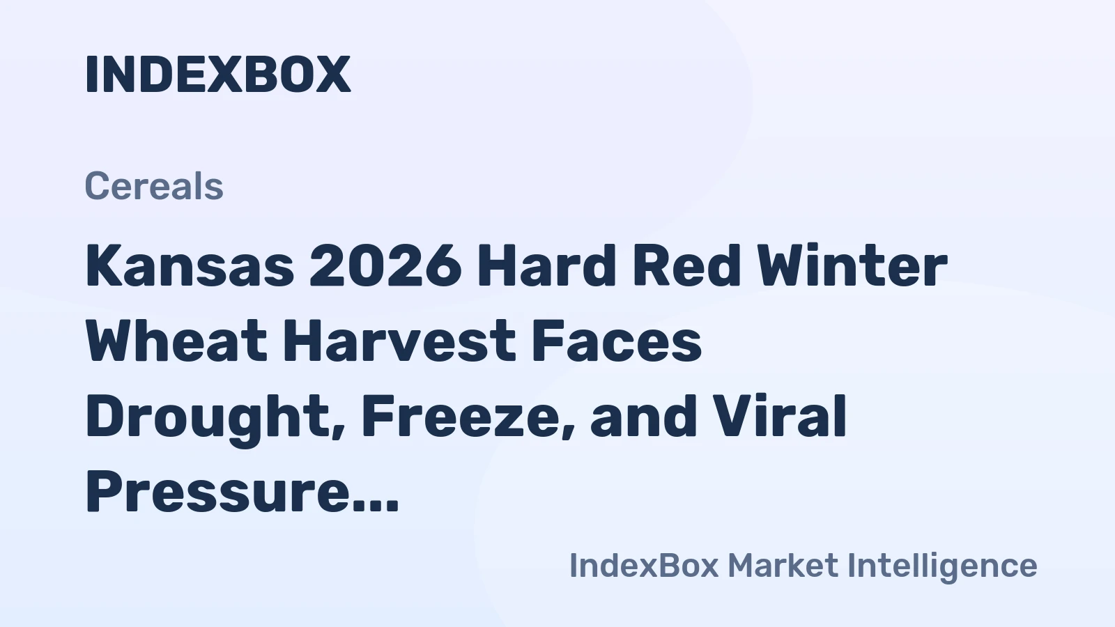 Kansas 2026 Hard Red Winter Wheat Harvest Faces Drought, Freeze, and Viral Pressure