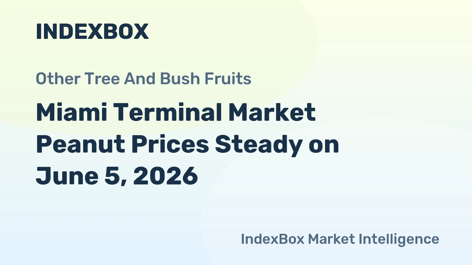 Miami Terminal Market Peanut Prices Steady on June 5, 2026