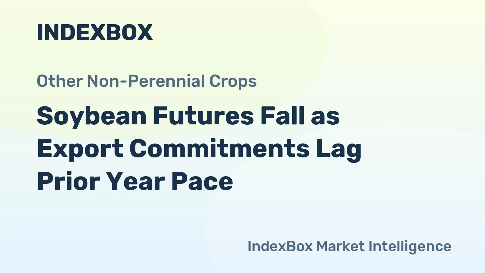 Soybean Futures Fall as Export Commitments Lag Prior Year Pace