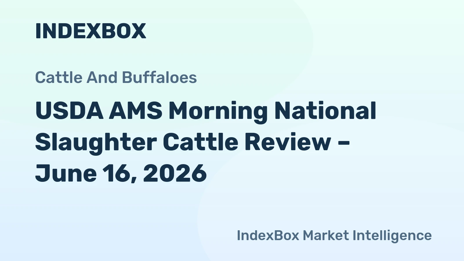 USDA AMS Morning National Slaughter Cattle Review – June 16, 2026