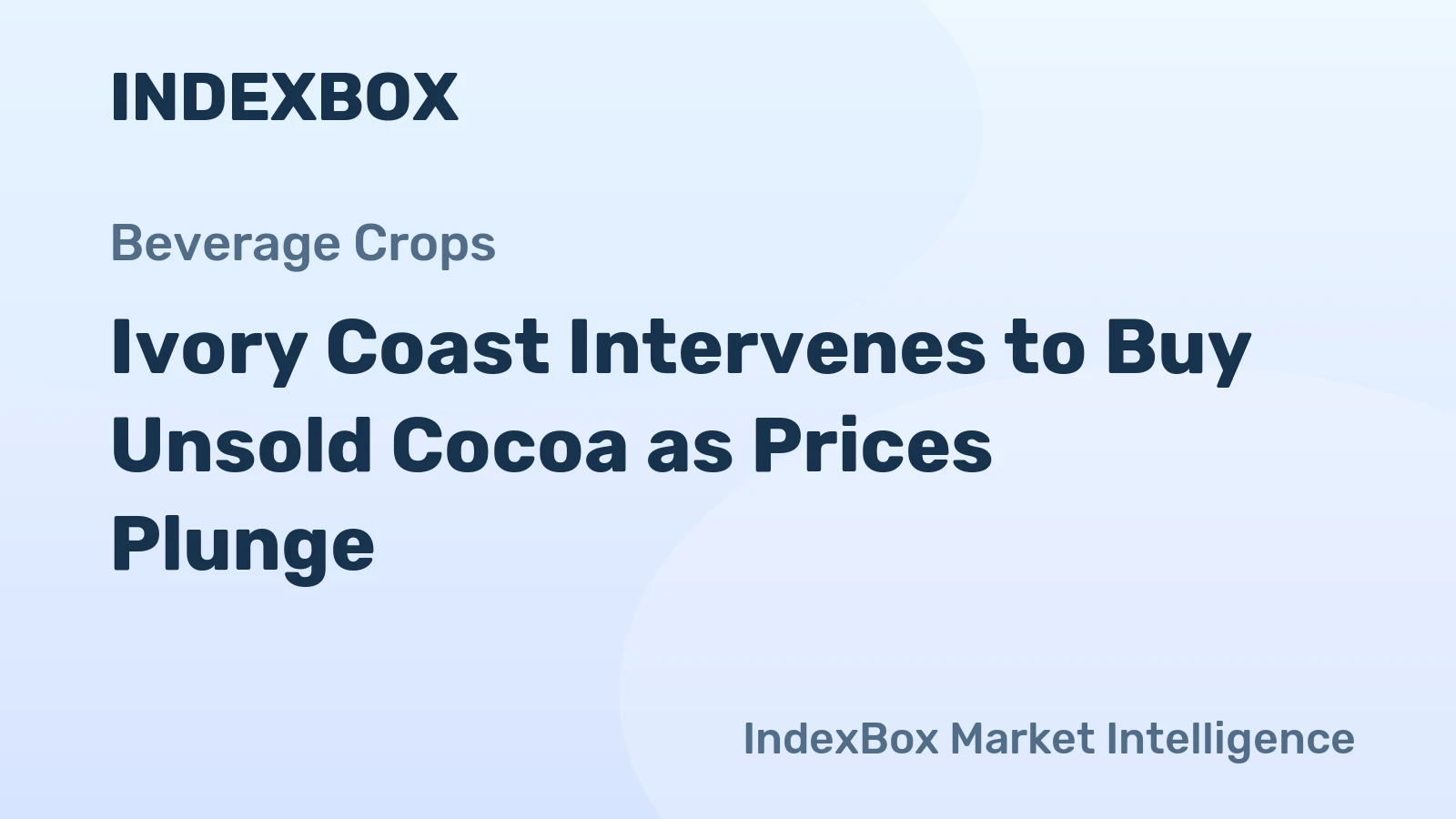 Ivory Coast Intervenes to Buy Unsold Cocoa as Prices Plunge