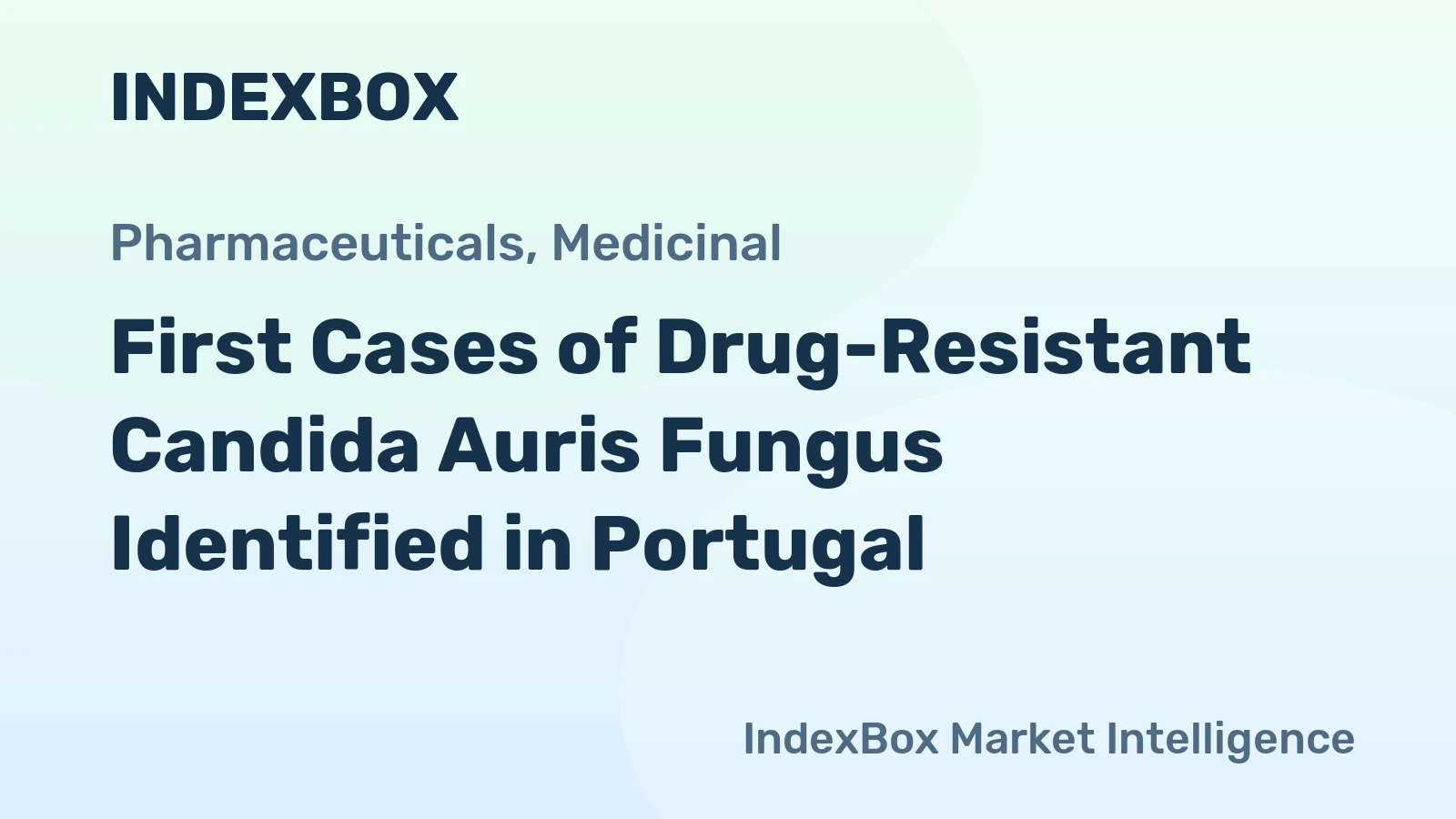 First Cases of Drug-Resistant Candida Auris Fungus Identified in Portugal