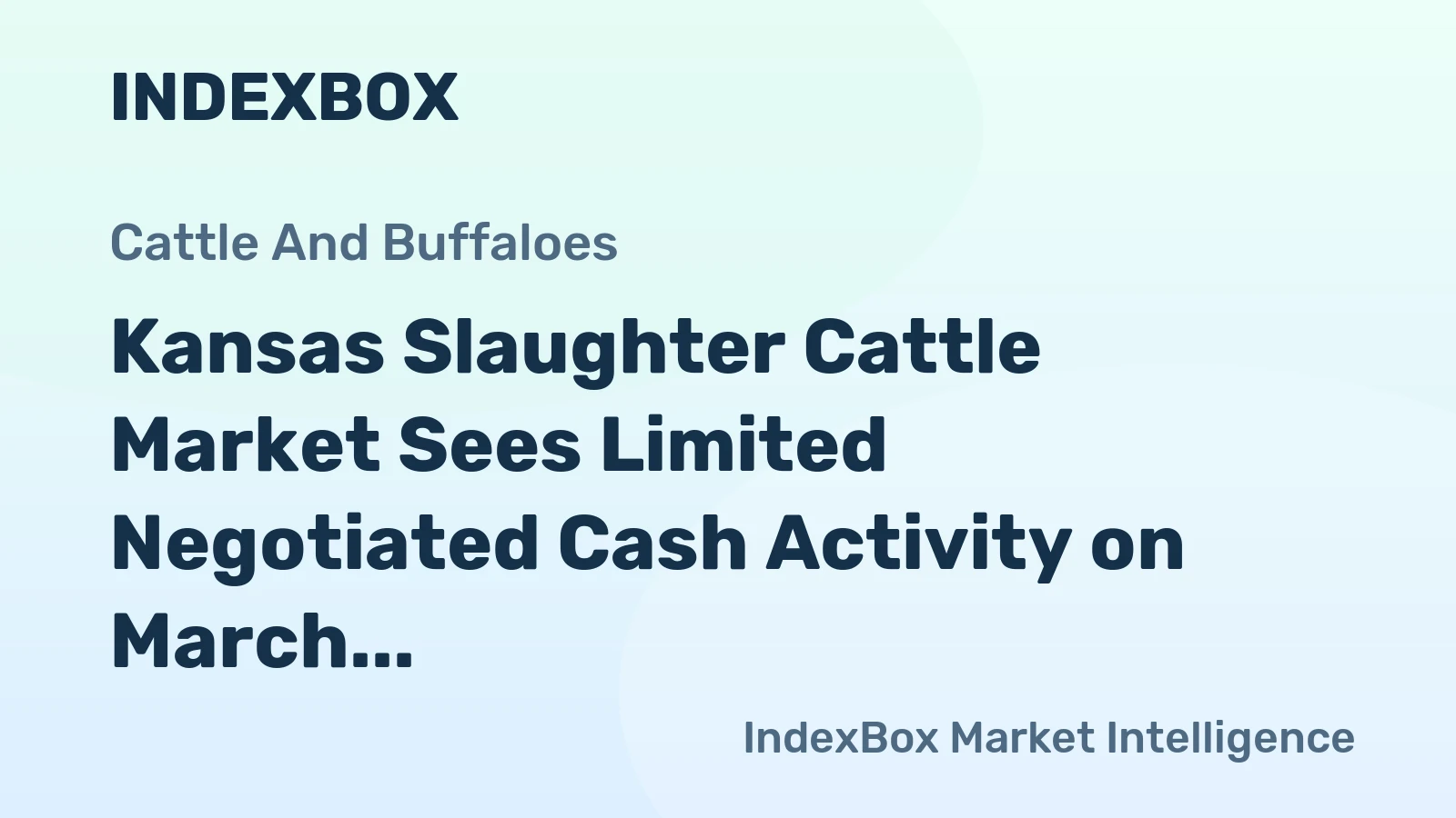 Kansas Slaughter Cattle Market Sees Limited Negotiated Cash Activity on March 3, 2026