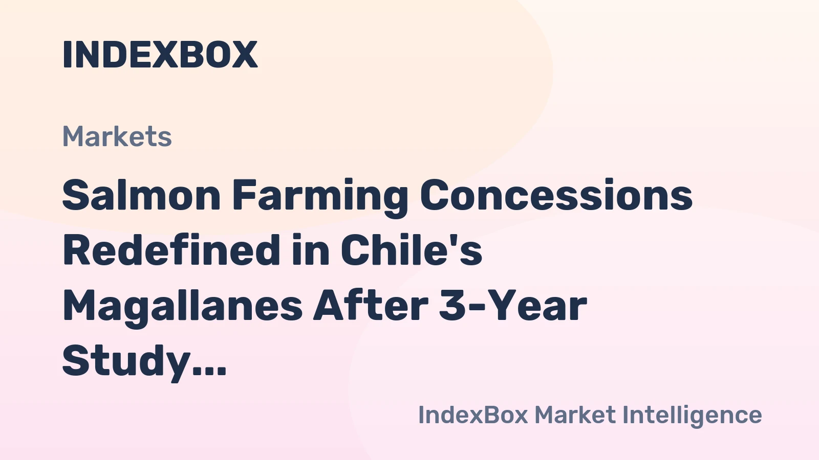 Salmon Farming Concessions Redefined in Chile's Magallanes After 3-Year Study
