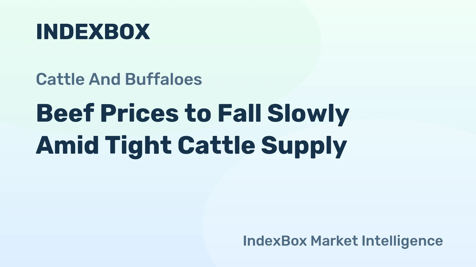 Beef Prices to Fall Slowly Amid Tight Cattle Supply