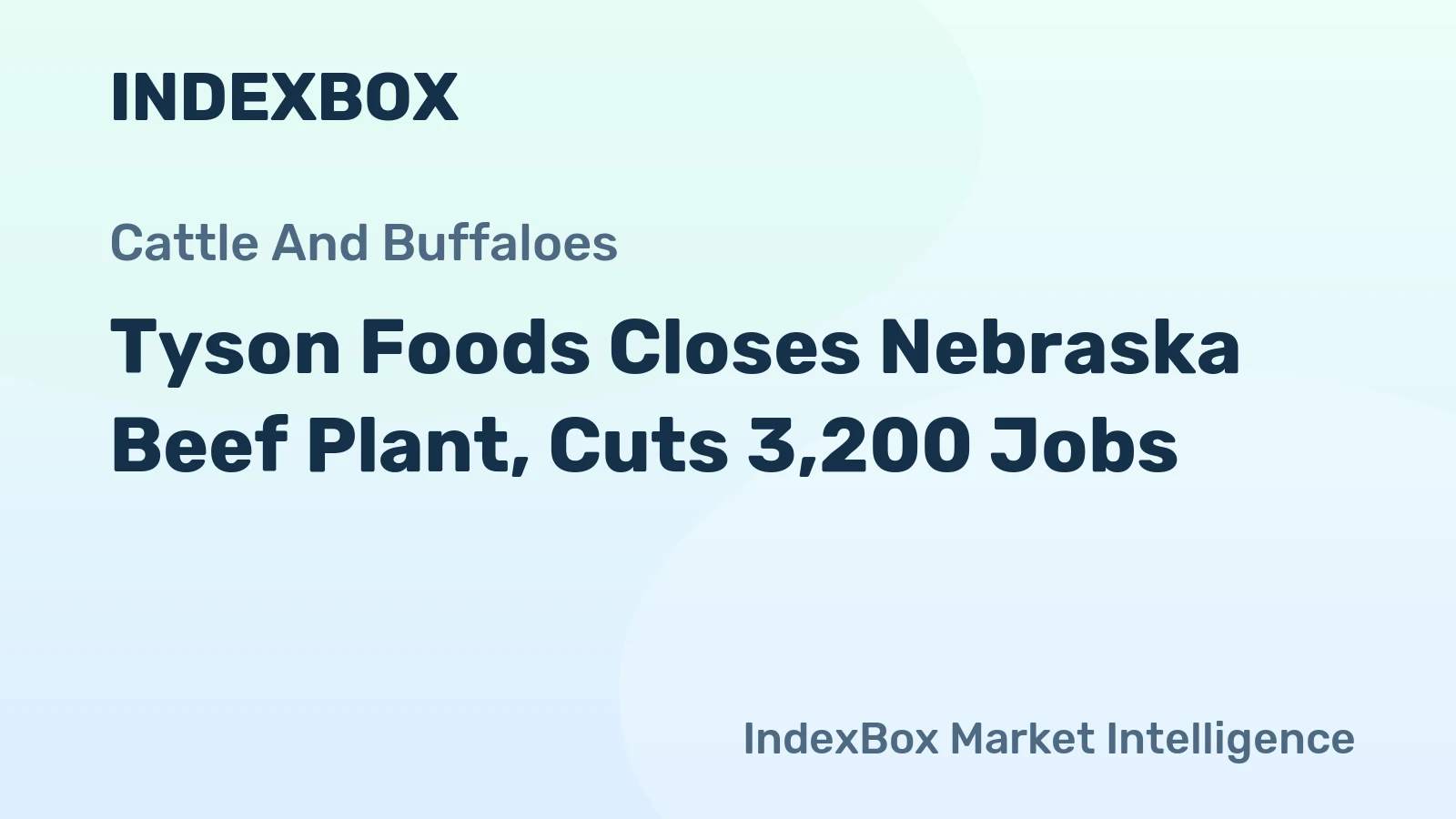 Tyson Foods Closes Nebraska Beef Plant, Cuts 3,200 Jobs