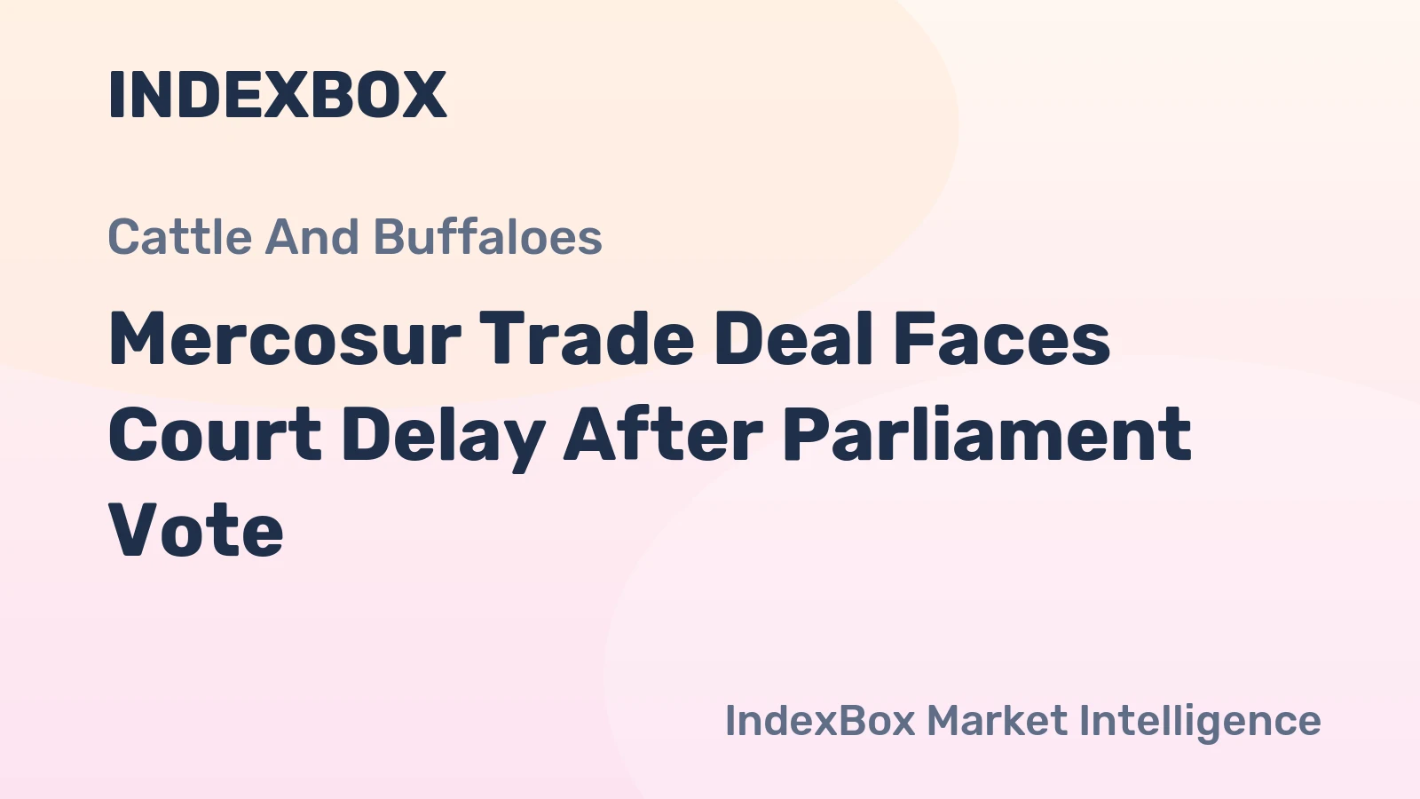Mercosur Trade Deal Faces Court Delay After Parliament Vote