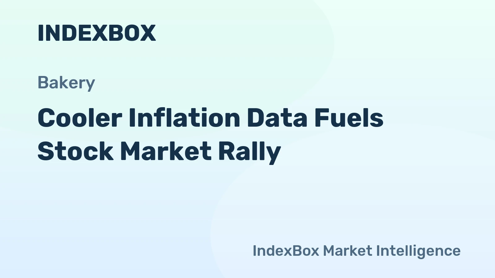 Cooler Inflation Data Fuels Stock Market Rally