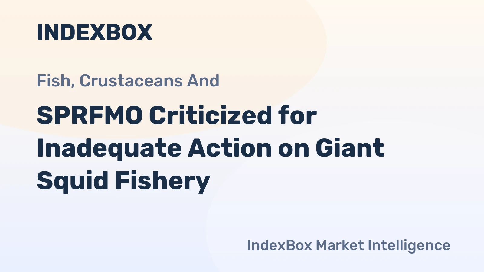SPRFMO Criticized for Inadequate Action on Giant Squid Fishery