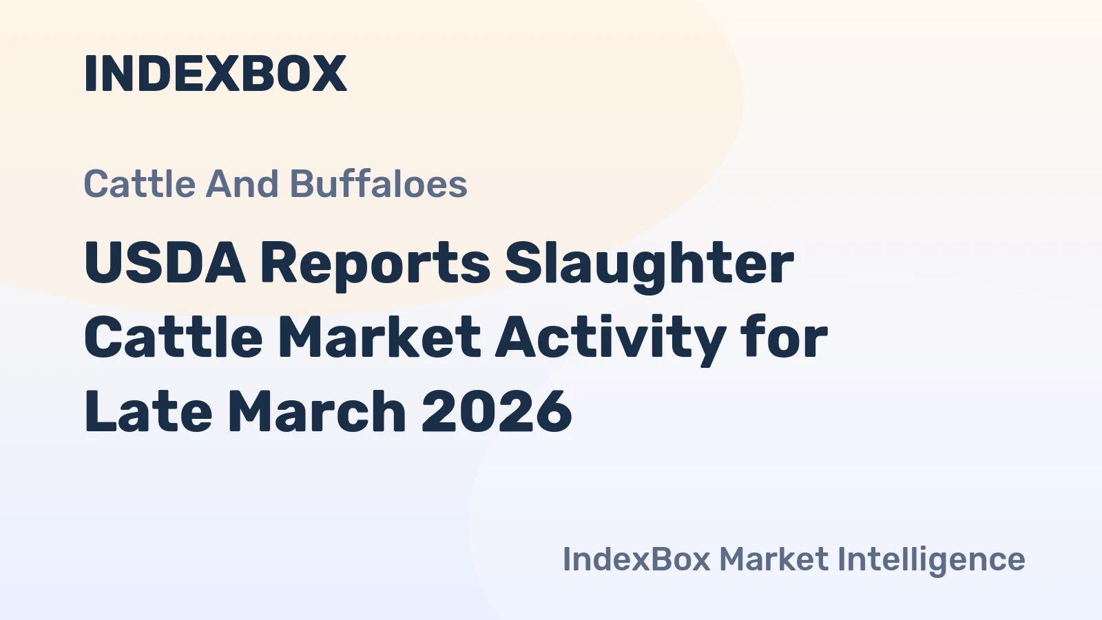USDA Reports Slaughter Cattle Market Activity for Late March 2026