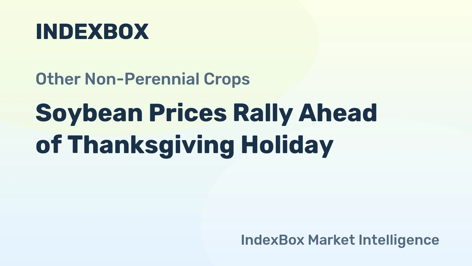 Soybean Prices Rally Ahead of Thanksgiving Holiday