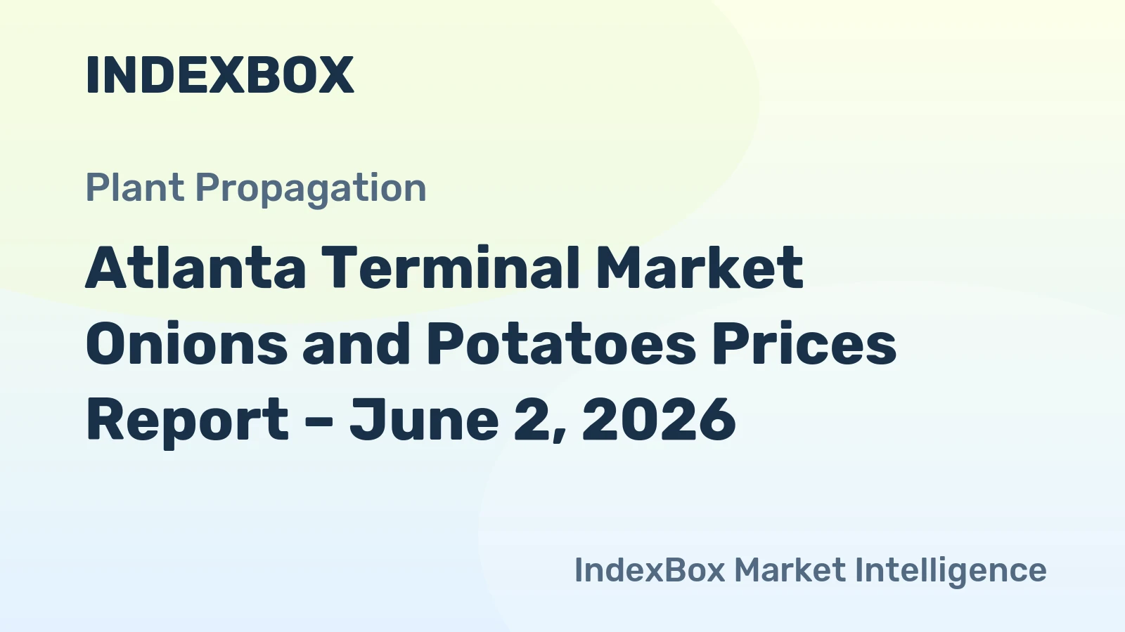 Atlanta Terminal Market Onions and Potatoes Prices Report – June 2, 2026