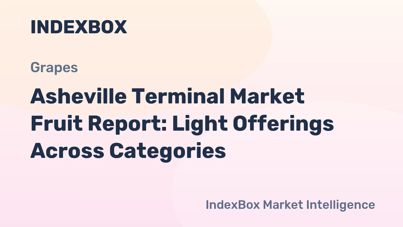 Asheville Terminal Market Fruit Report: Light Offerings Across Categories