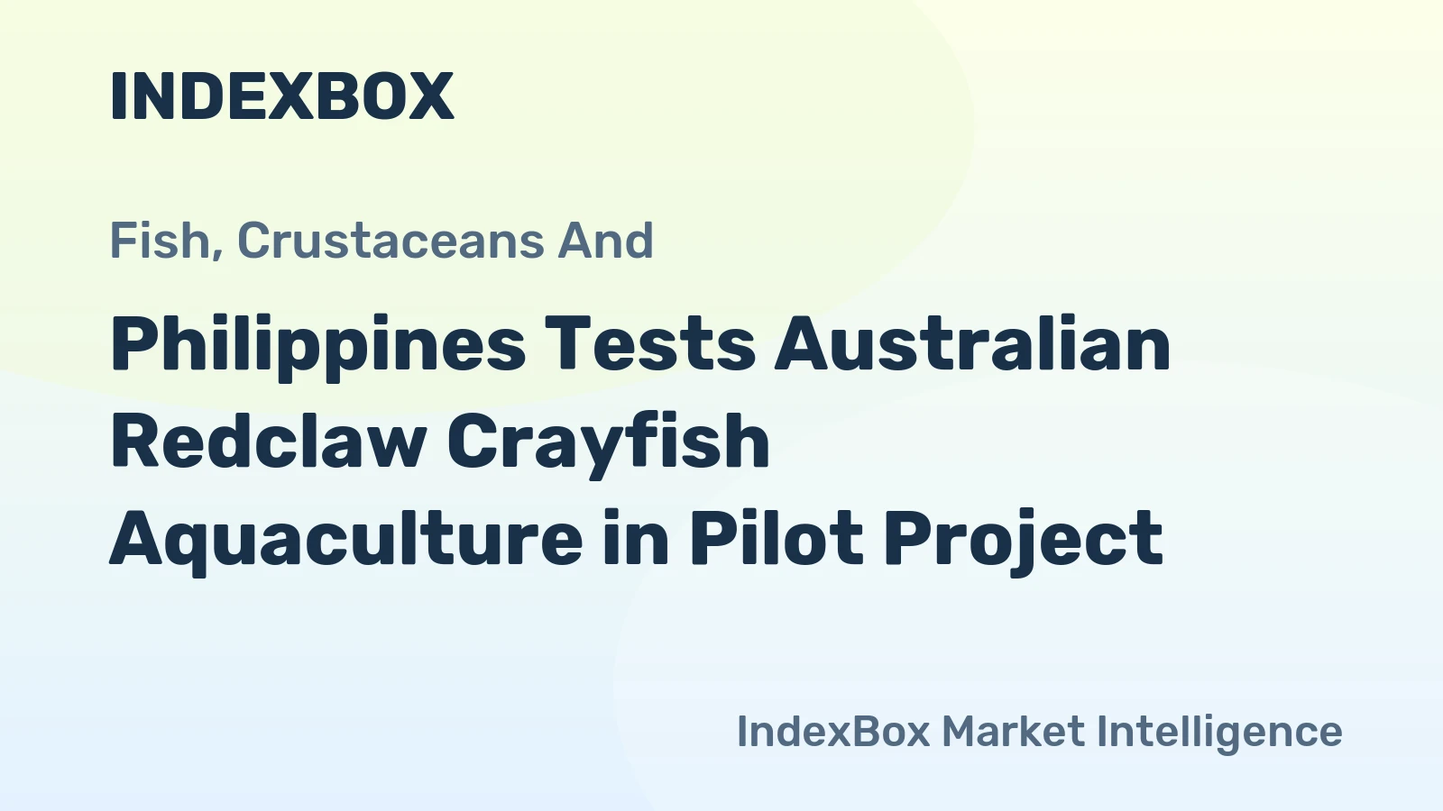 Philippines Tests Australian Redclaw Crayfish Aquaculture in Pilot Project