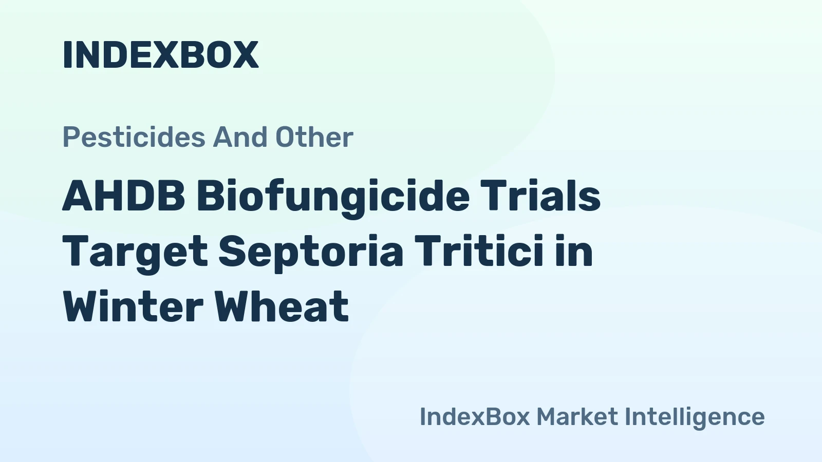 AHDB Biofungicide Trials Target Septoria Tritici in Winter Wheat