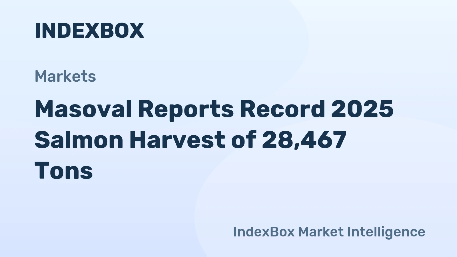 Masoval Reports Record 2025 Salmon Harvest of 28,467 Tons