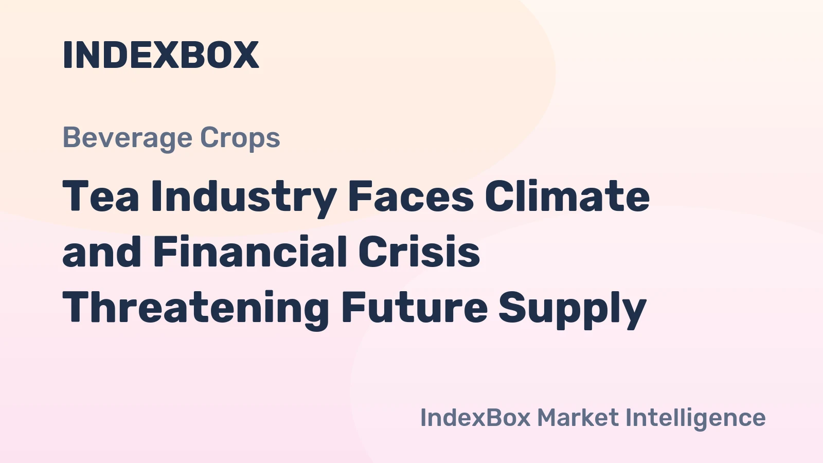 Tea Industry Faces Climate and Financial Crisis Threatening Future Supply