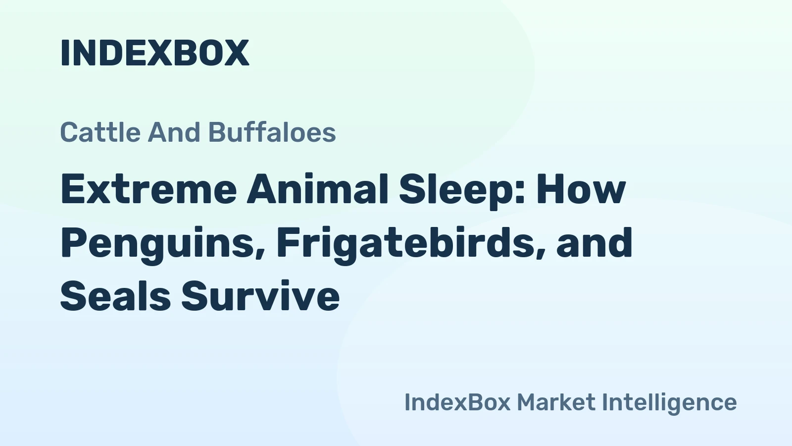 Extreme Animal Sleep: How Penguins, Frigatebirds, and Seals Survive