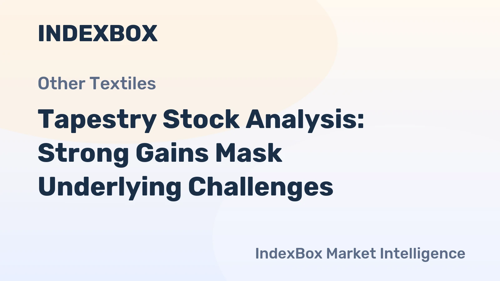 Tapestry Stock Analysis: Strong Gains Mask Underlying Challenges