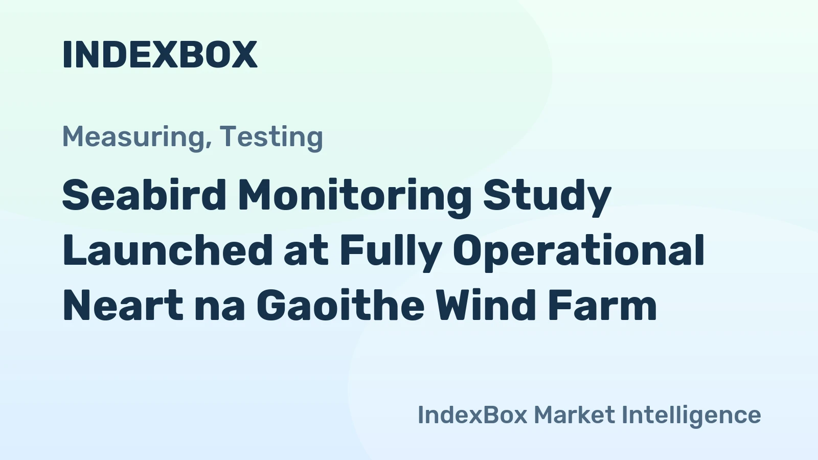 Seabird Monitoring Study Launched at Fully Operational Neart na Gaoithe Wind Farm