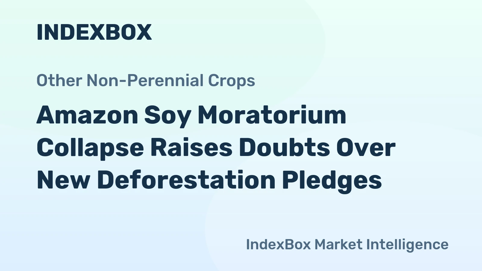 Amazon Soy Moratorium Collapse Raises Doubts Over New Deforestation Pledges