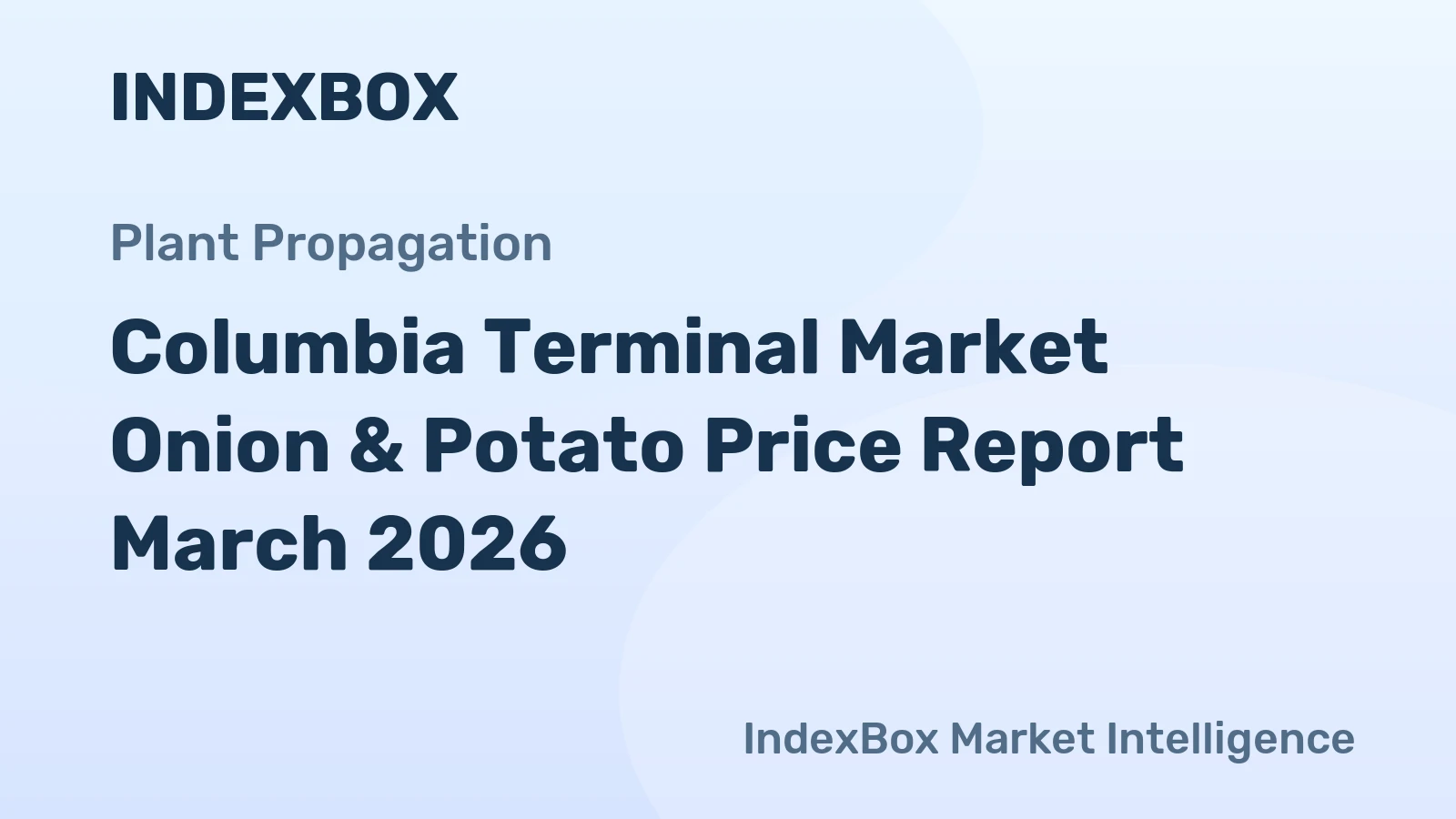 Columbia Terminal Market Onion & Potato Price Report March 2026