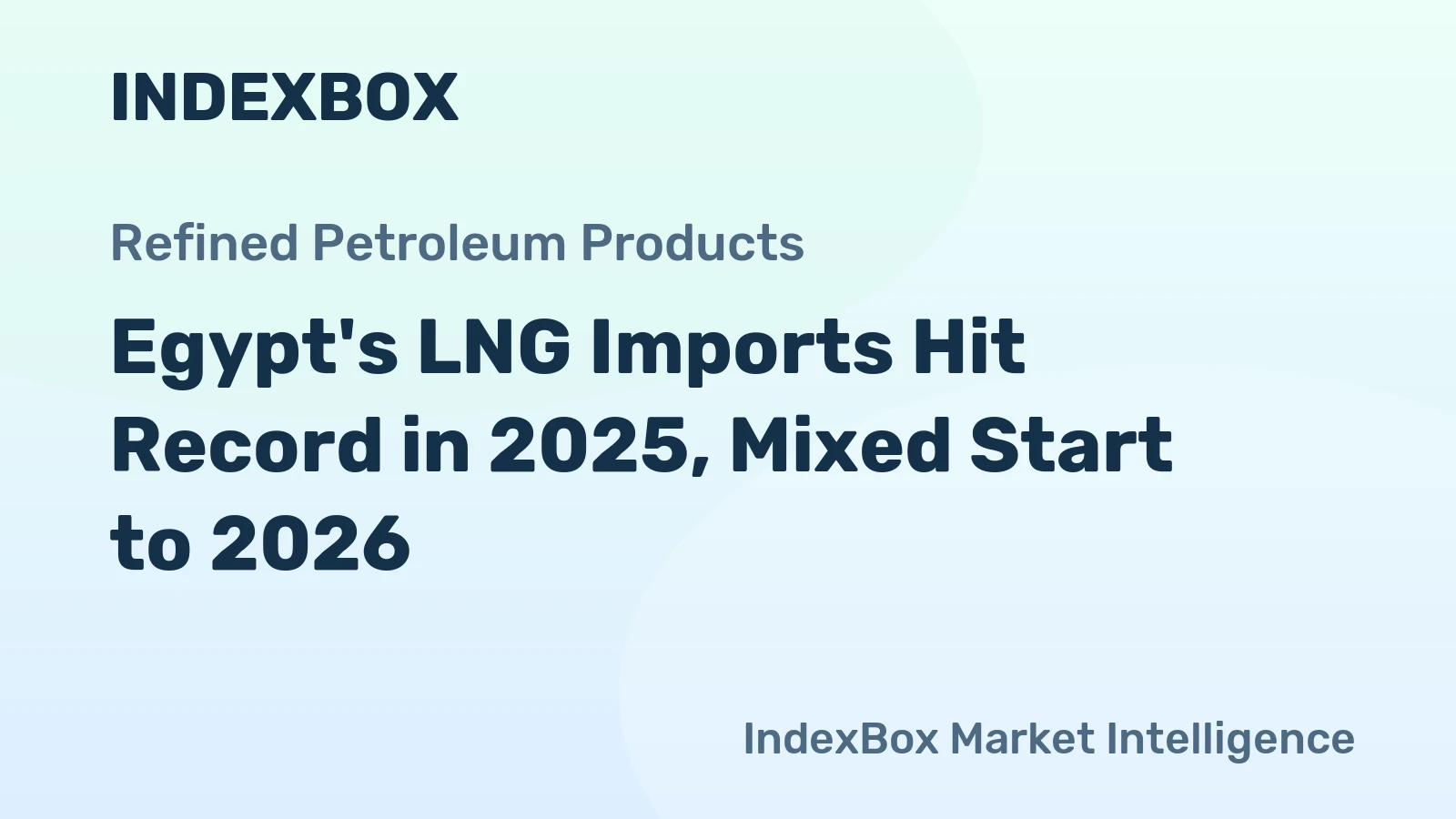 Egypt's LNG Imports Hit Record in 2025, Mixed Start to 2026