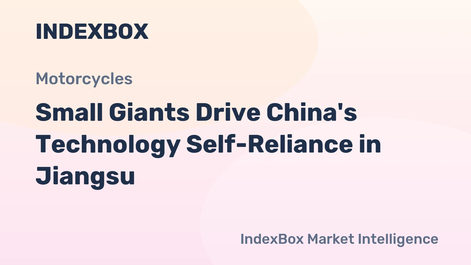 Small Giants Drive China's Technology Self-Reliance in Jiangsu