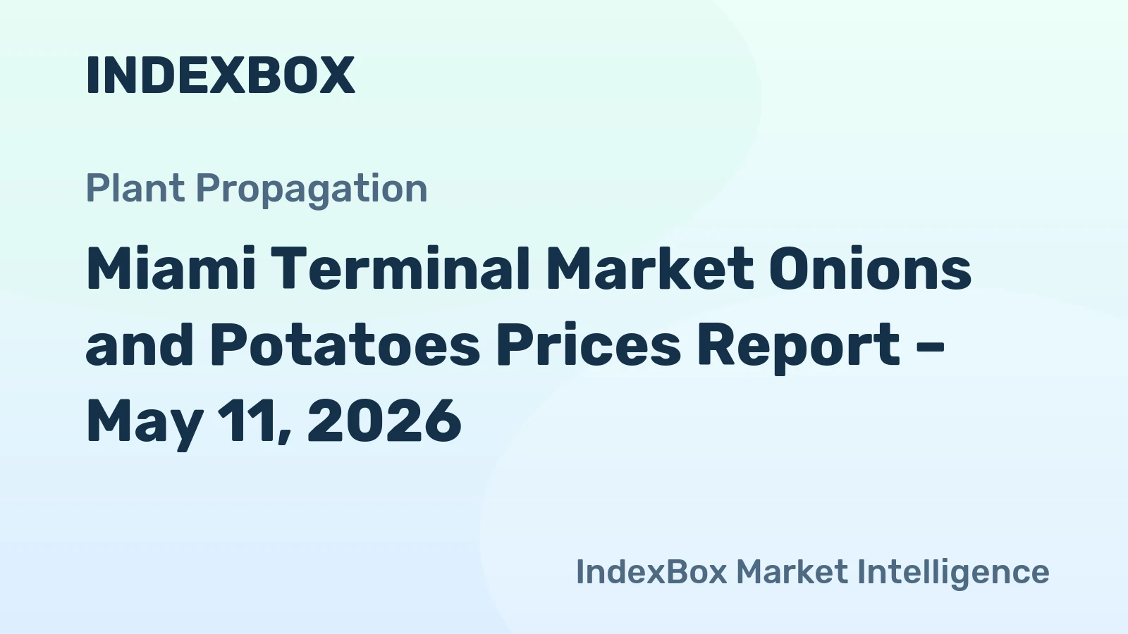 Miami Terminal Market Onions and Potatoes Prices Report – May 11, 2026
