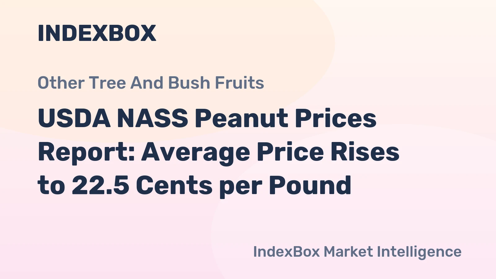 USDA NASS Peanut Prices Report: Average Price Rises to 22.5 Cents per Pound