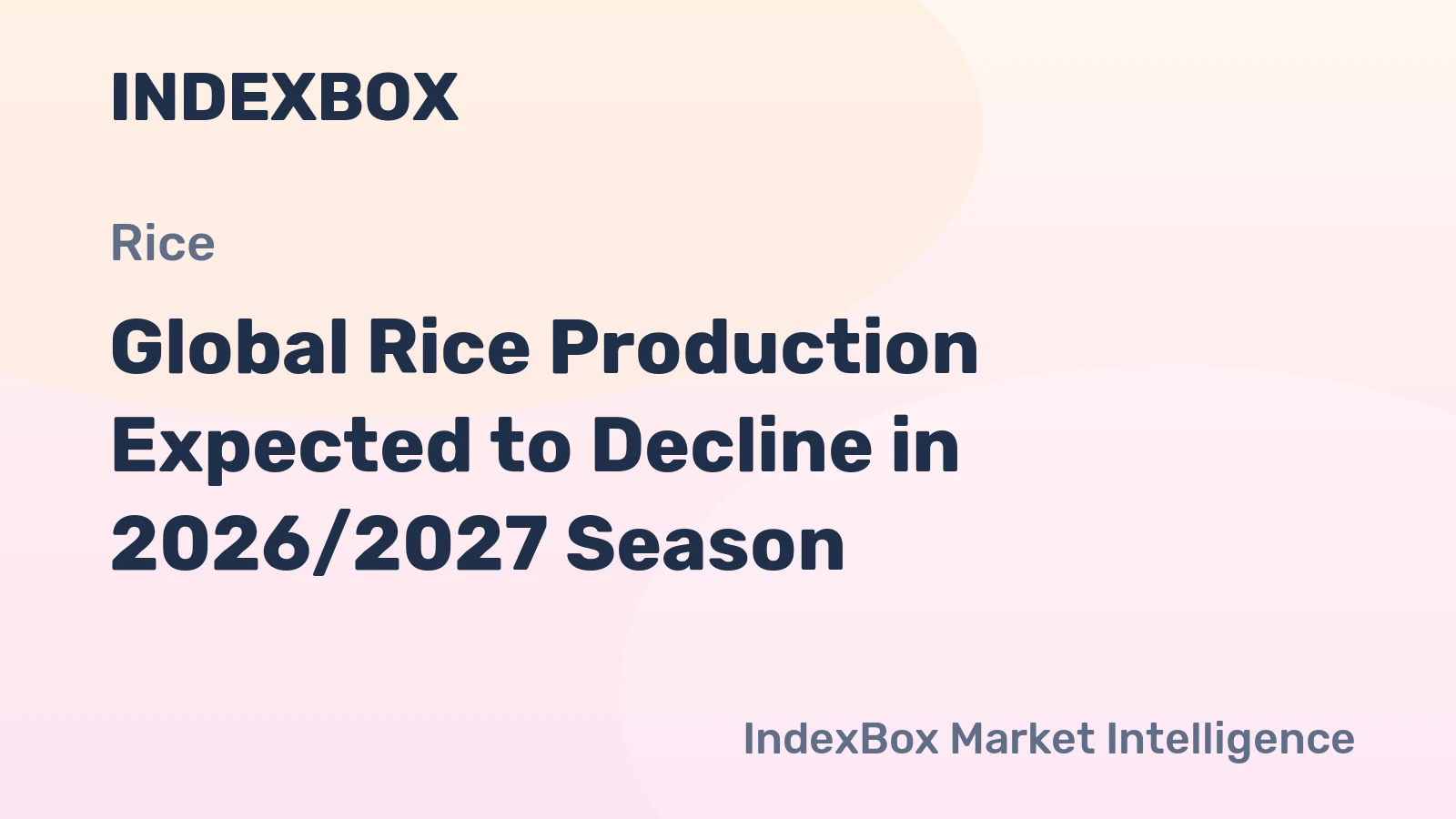 Global Rice Production Expected to Decline in 2026/2027 Season