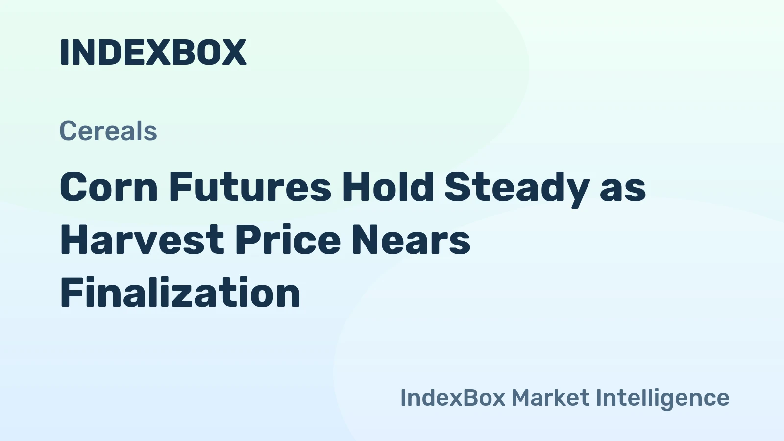 Corn Futures Hold Steady as Harvest Price Nears Finalization