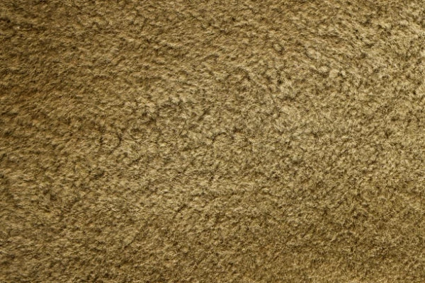 China's Tufted Carpet Price Increases by 8% to $12.1 per Square Meter