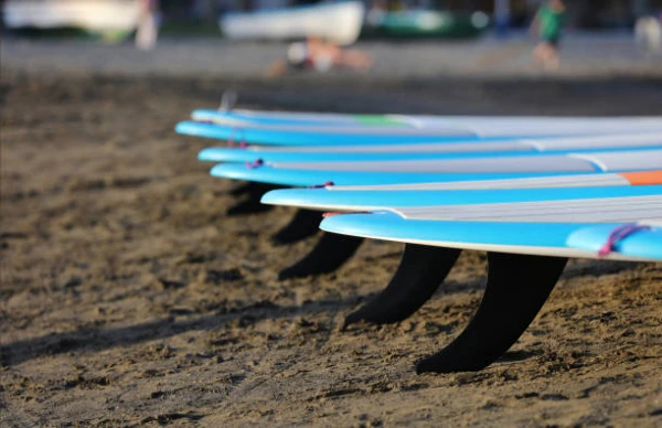 Best Import Markets for Water-Skis and Surfboards