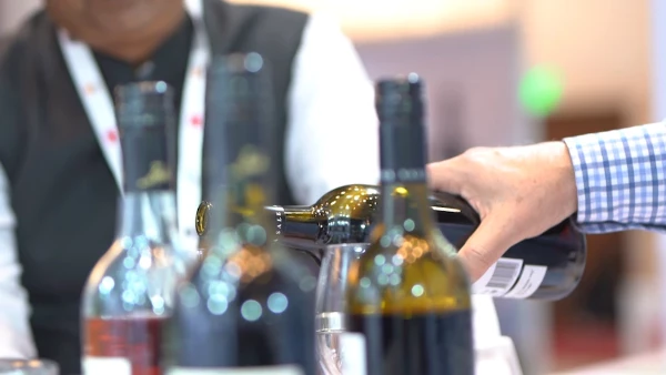 Maximizing Your Wine Export Profits: How to Navigate Pricing and Distribution